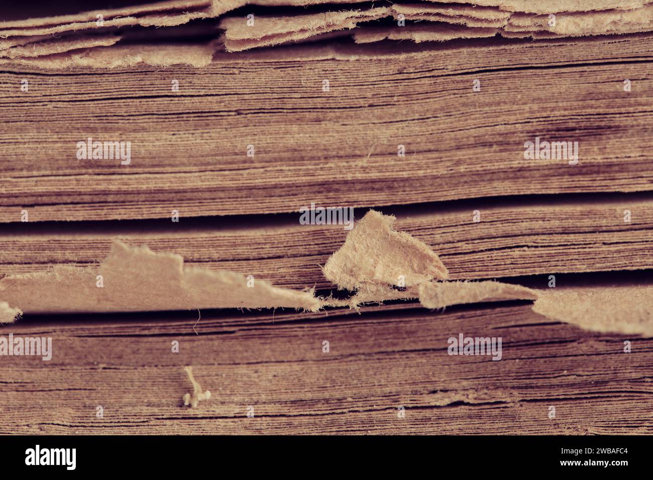 Paper end pages an old vintage book Stock Photo - Alamy