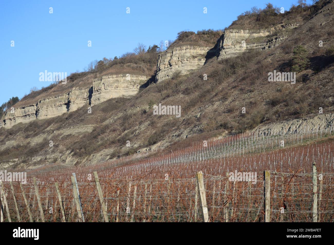 Vineyard below a striking Rock formation Stock Photo - Alamy