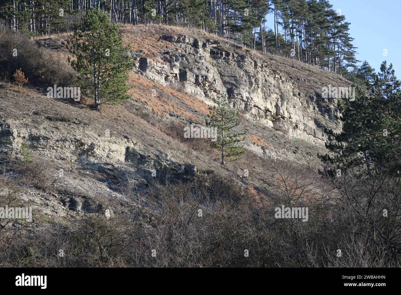 attractive Rocky landscape with scattered Trees Stock Photo - Alamy