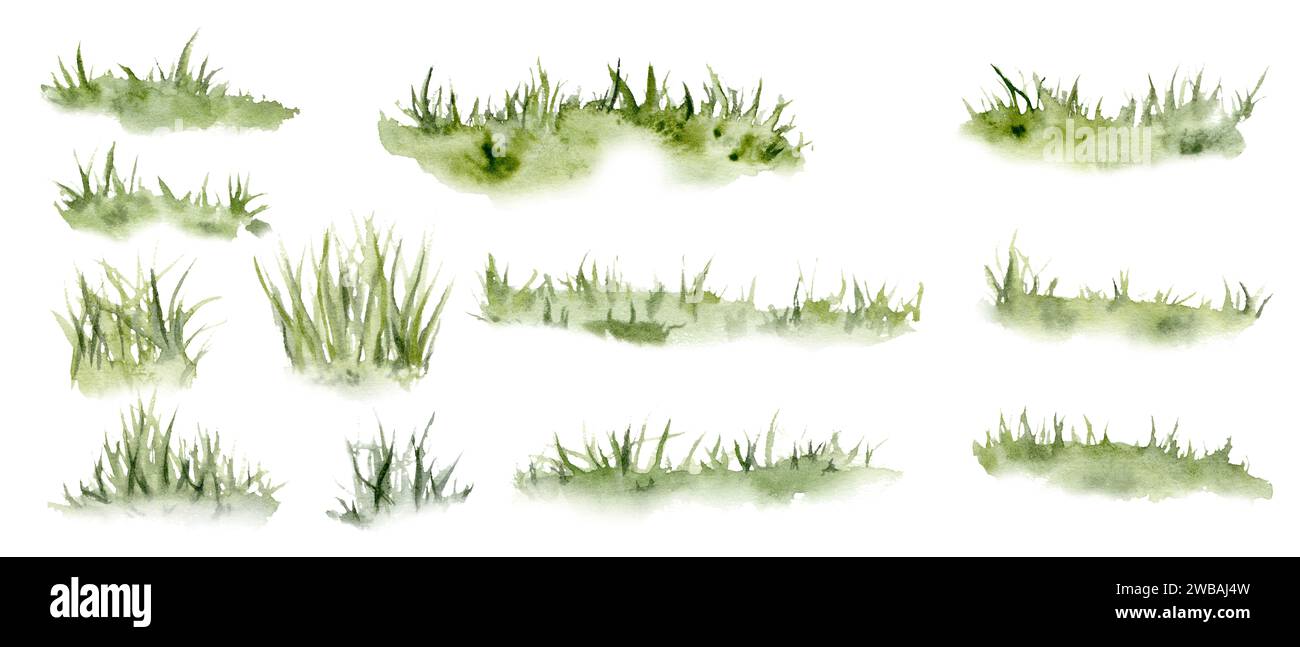 Set of watercolor grass. Hand drawn light green withered herb pattern ...
