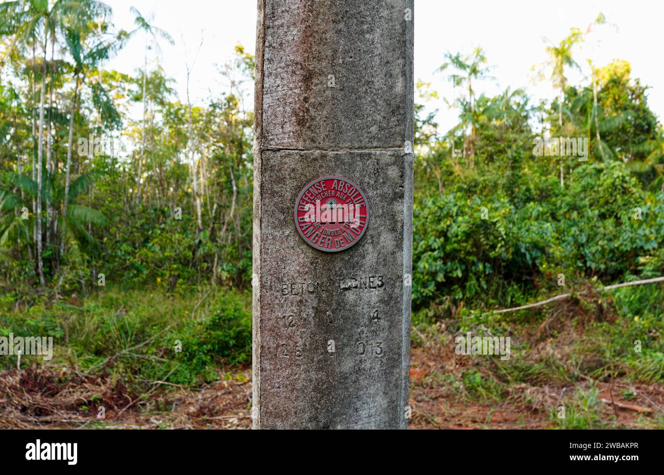 Electric poll in the middle of the rainforest Stock Photo - Alamy