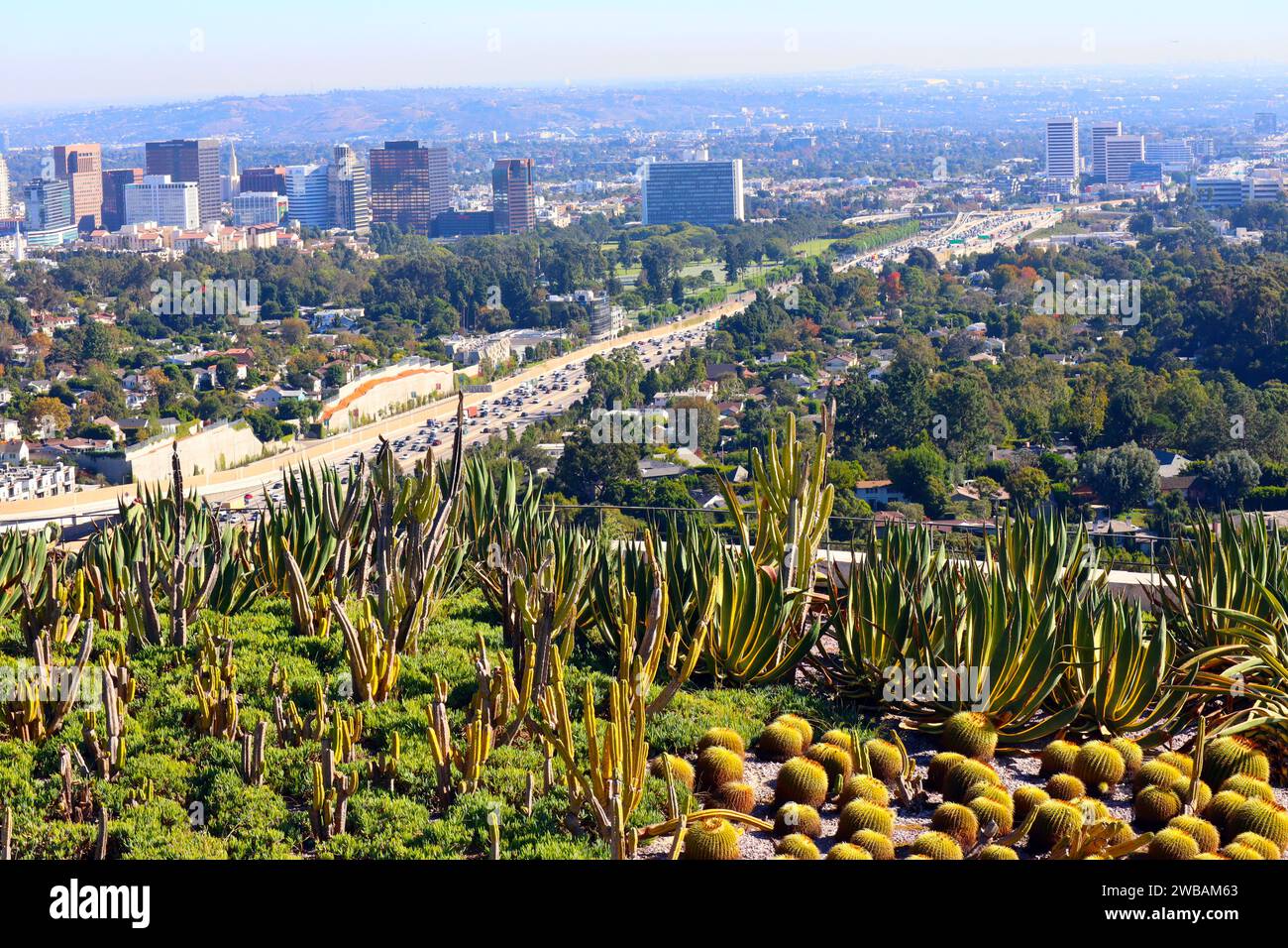Los Angeles, California: Cactus Garden at The Getty Center Museum ...
