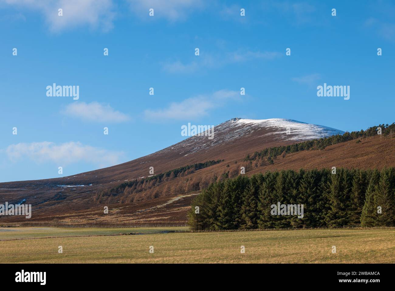 9 January 2024. Ben Rinnes, Moray, Scotland. This is the mountain of ...