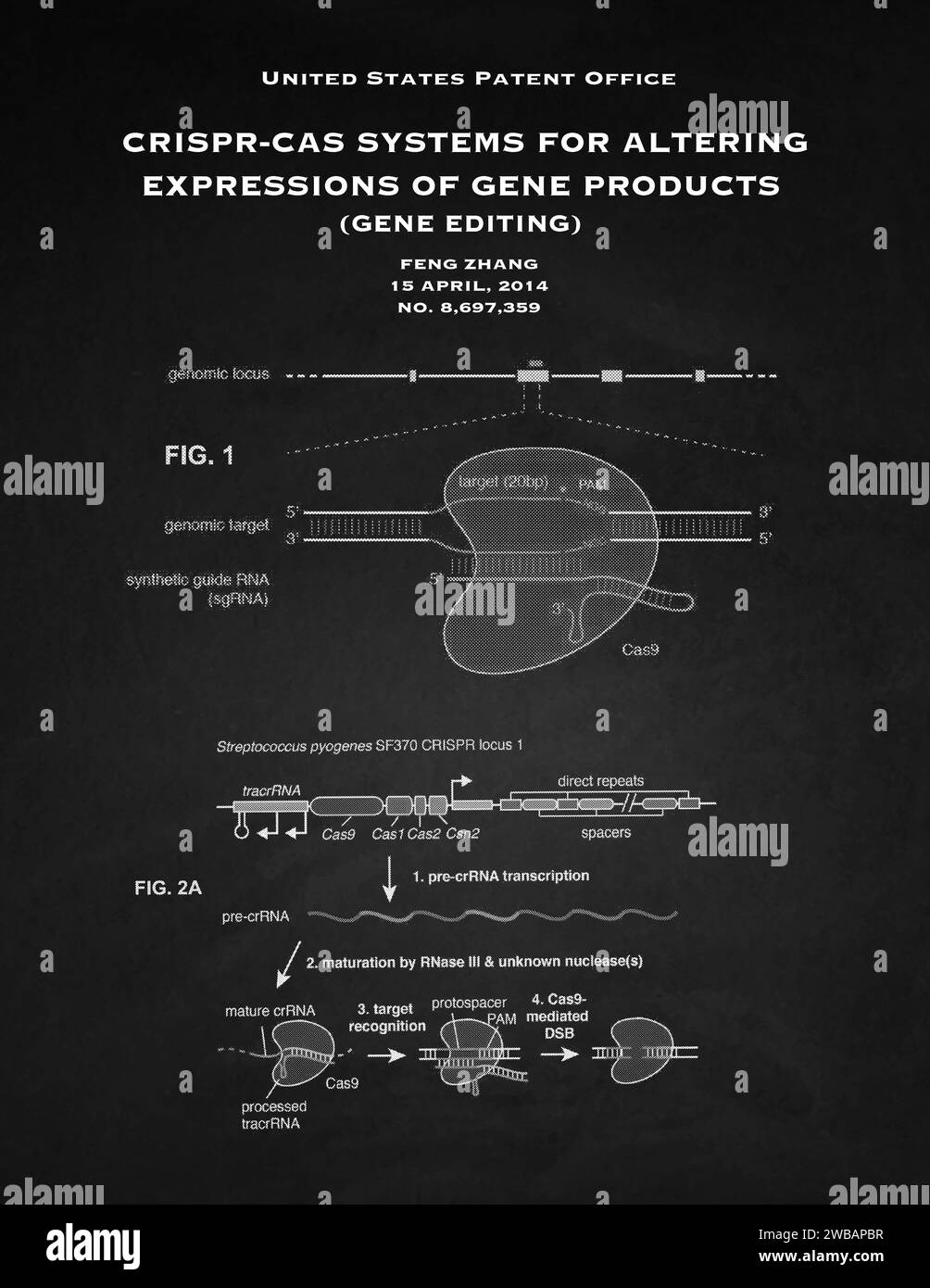 US patent design from 2014 for CRISPR-CAS systems for altering genes or ...