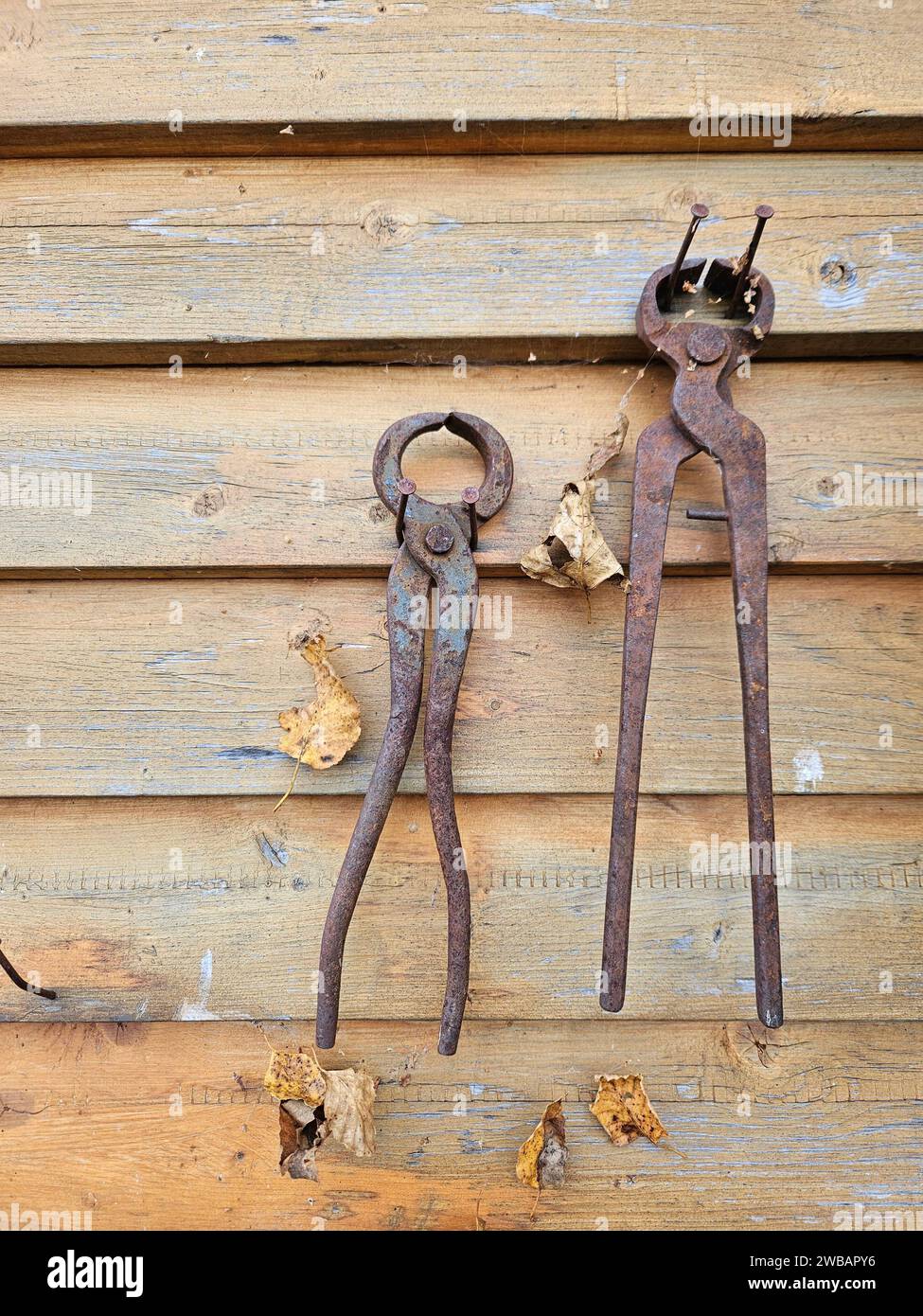 A stock photo of an array of tools hanging from a wall in an outdoor ...