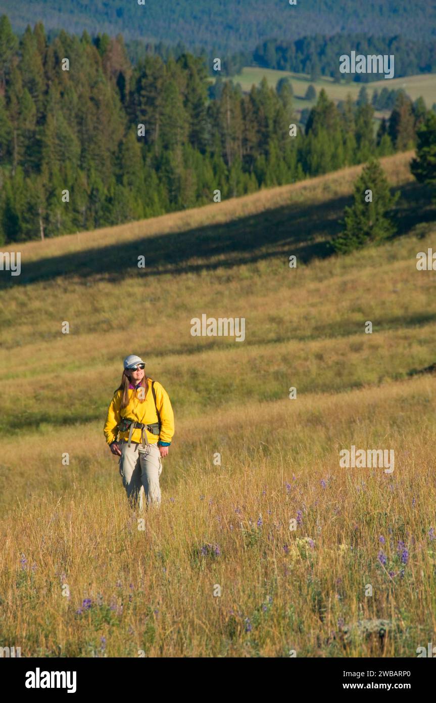 Grassland at Priest Pass, Continental Divide National Scenic Trail (CDT ...