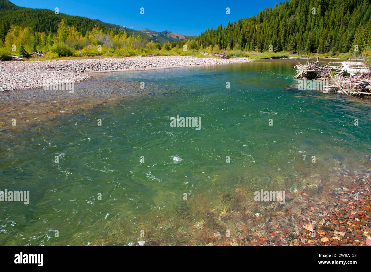 Middle Fork Flathead Wild and Scenic River, Great Bear Wilderness ...