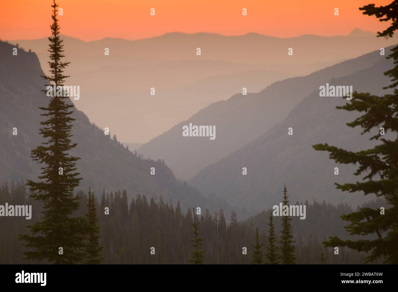 Sunrise out South Lost Horse Creek drainage, Selway-Bitterroot ...