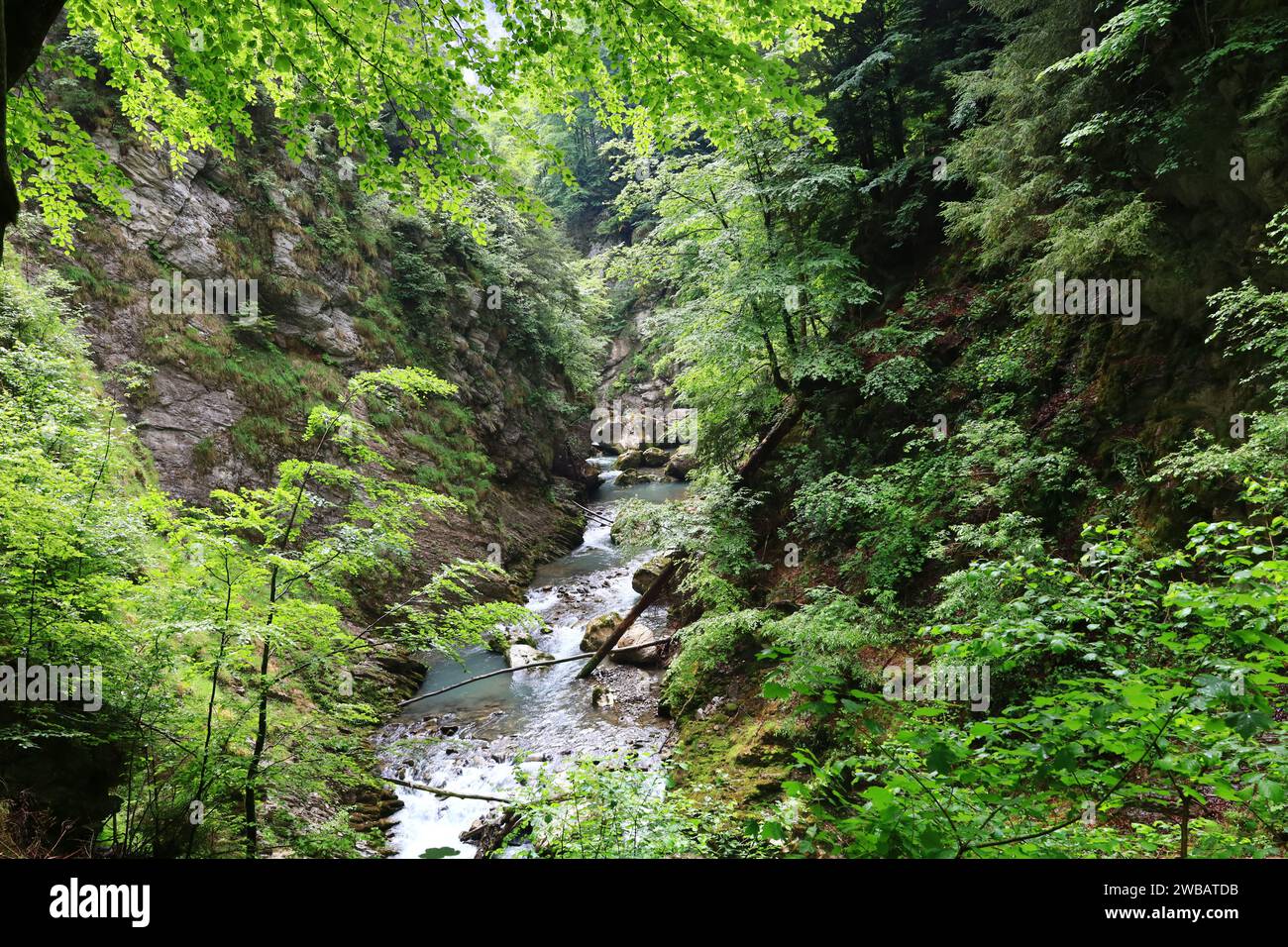 The gorges of Pont-du-Diable is a gorge crossed by the Dranse de ...