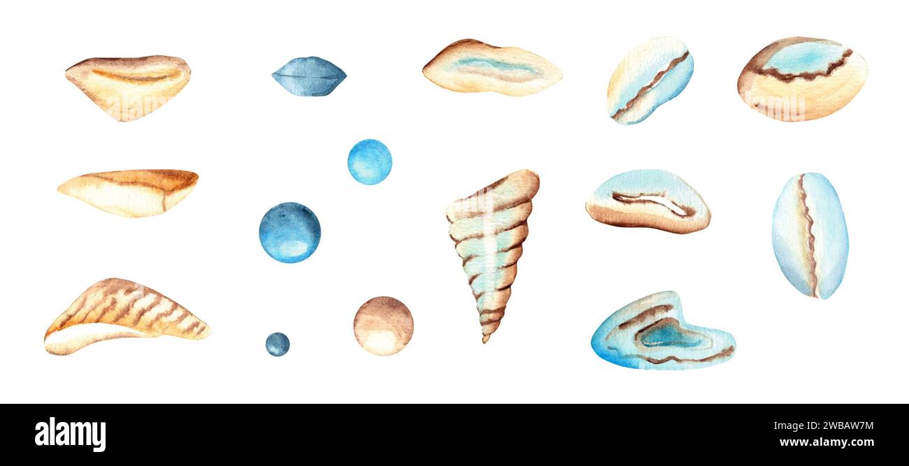Set of small sea shells and stones, sea pebbles and beads. Marine ...
