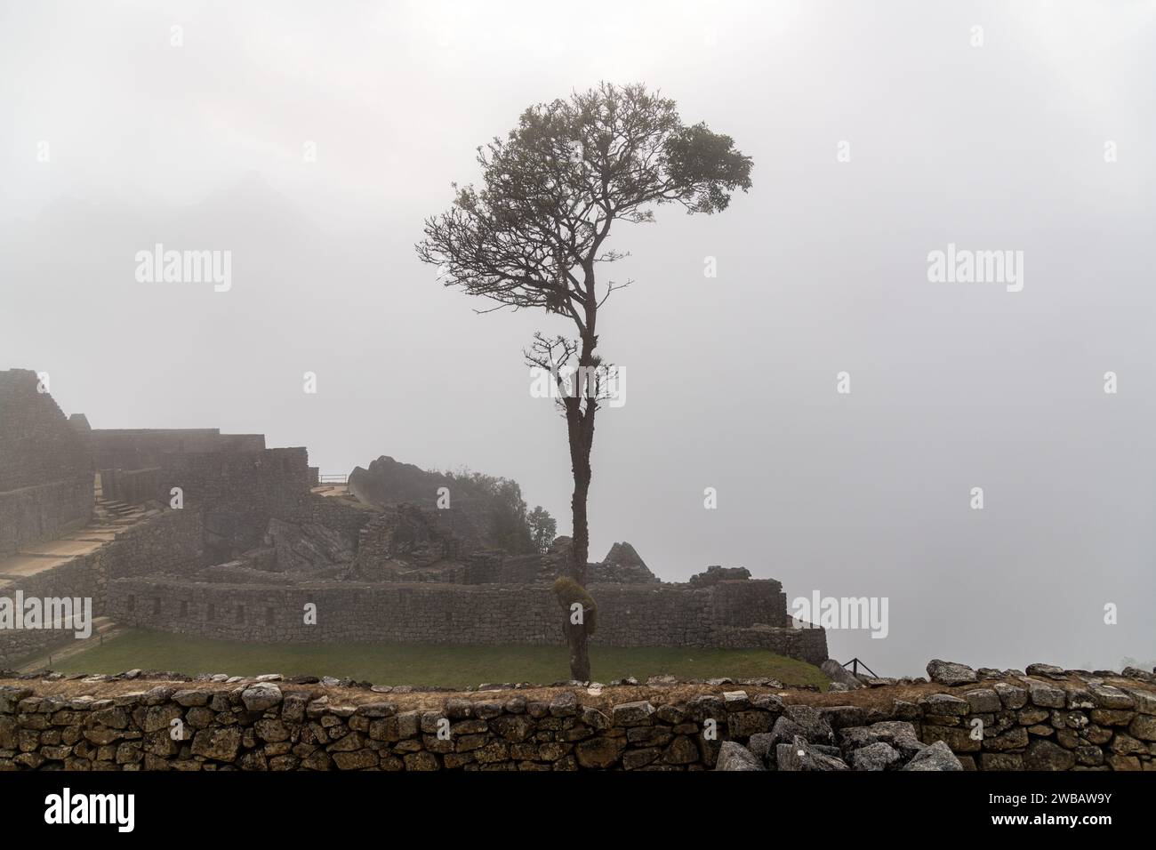 A tall street at Machu Picchu citadel in Peru Stock Photo - Alamy