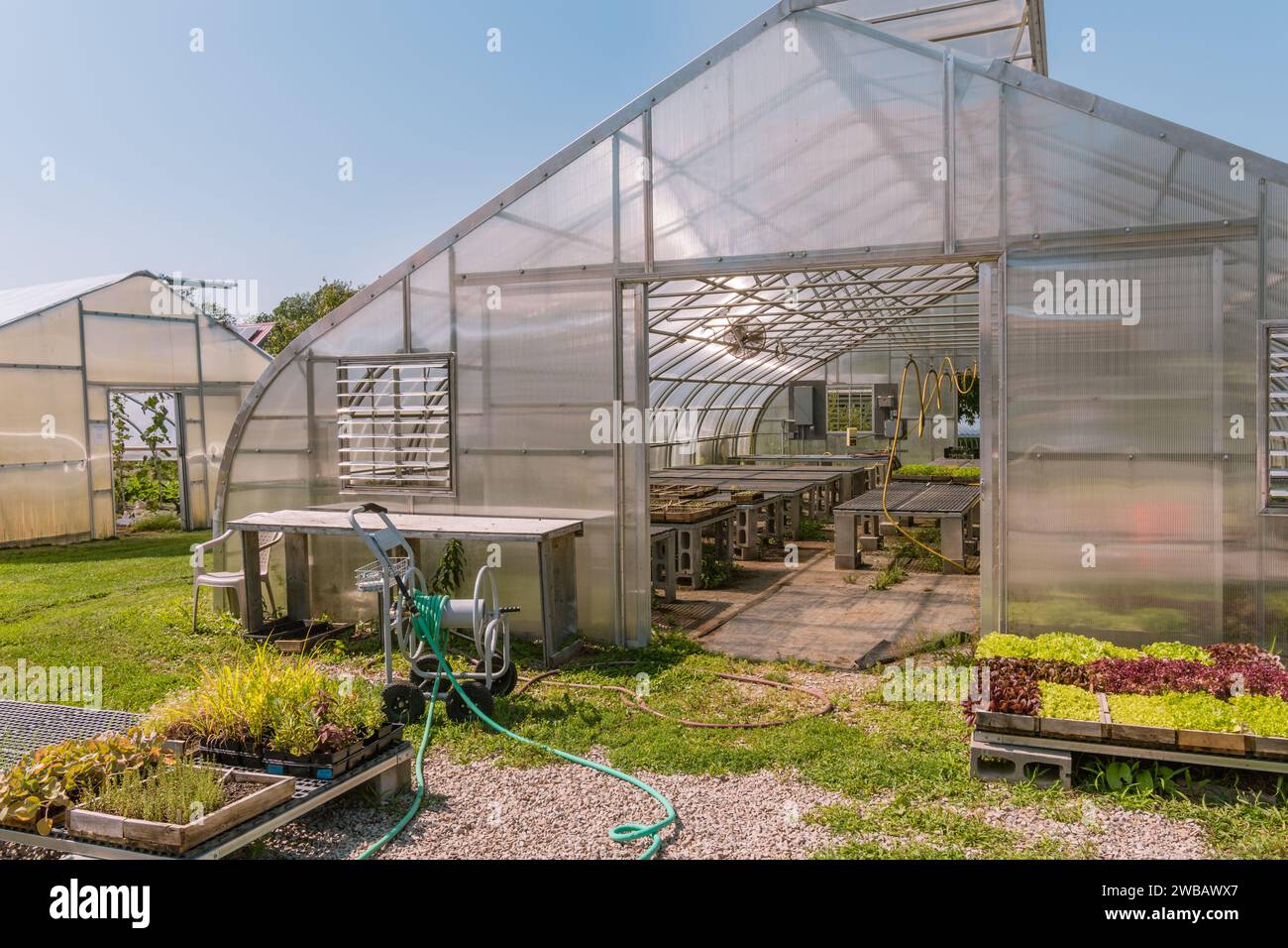 Organic vegetables healthy eating farming hi-res stock photography and ...