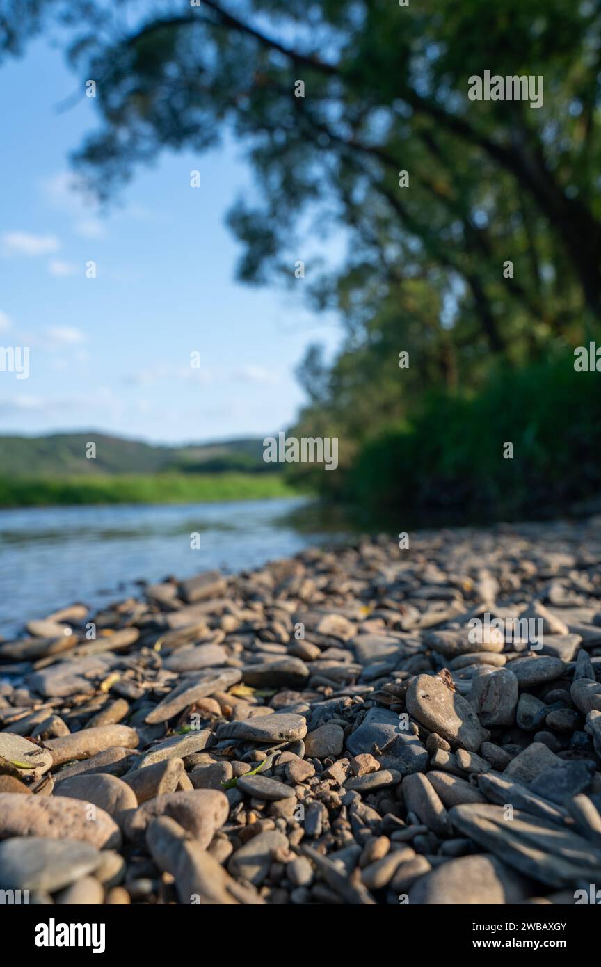Pebbles on the river bank with a blurred background of a tree and blue ...
