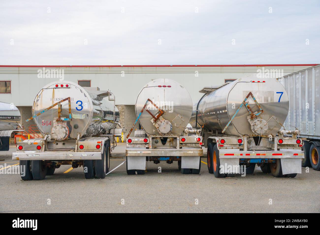 Row of three shiny metal tanker trucks used to transport fuel Stock ...