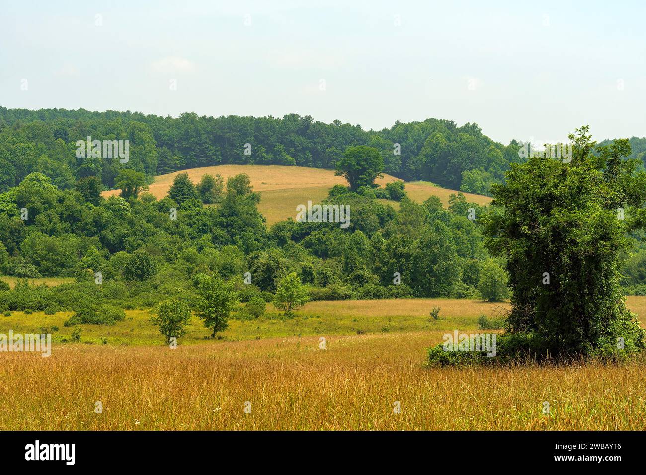 Forests and Meadows in the Rolling Hills of the Blue Ridge Parkway in ...
