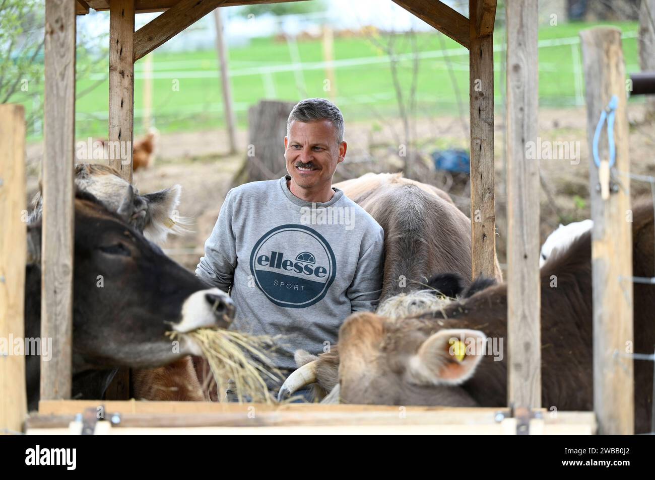 Flusterer hi-res stock photography and images - Alamy