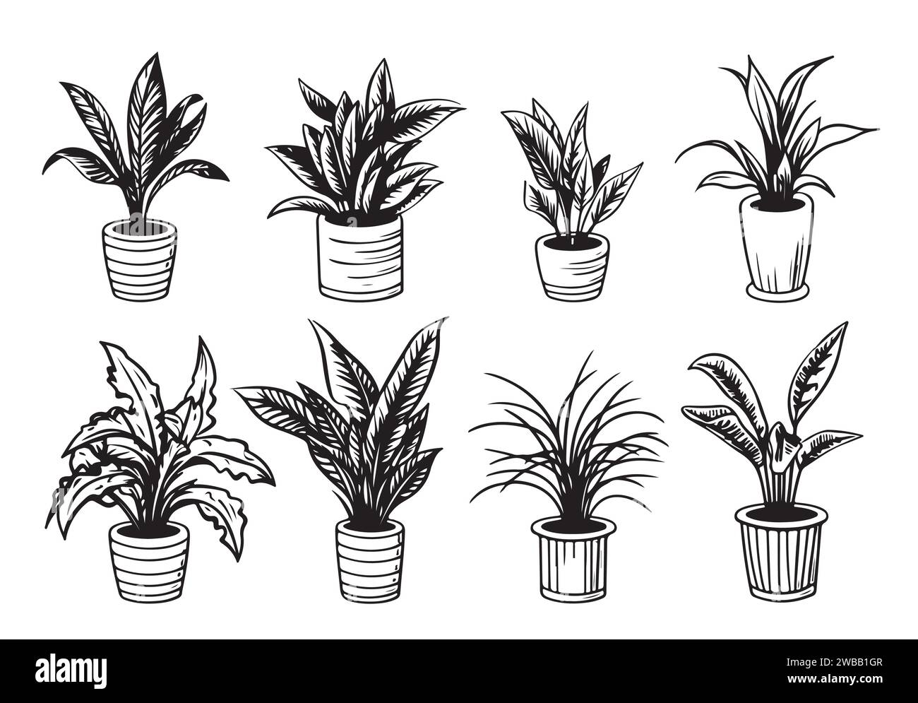 Set of Houseplants outline drawings. Indoor exotic flowers in pots line ...