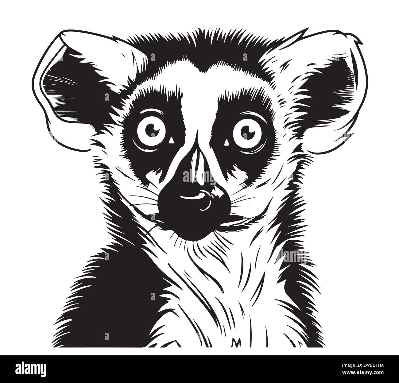Lemur sketches, outline with white background, hand drawn illustration ...