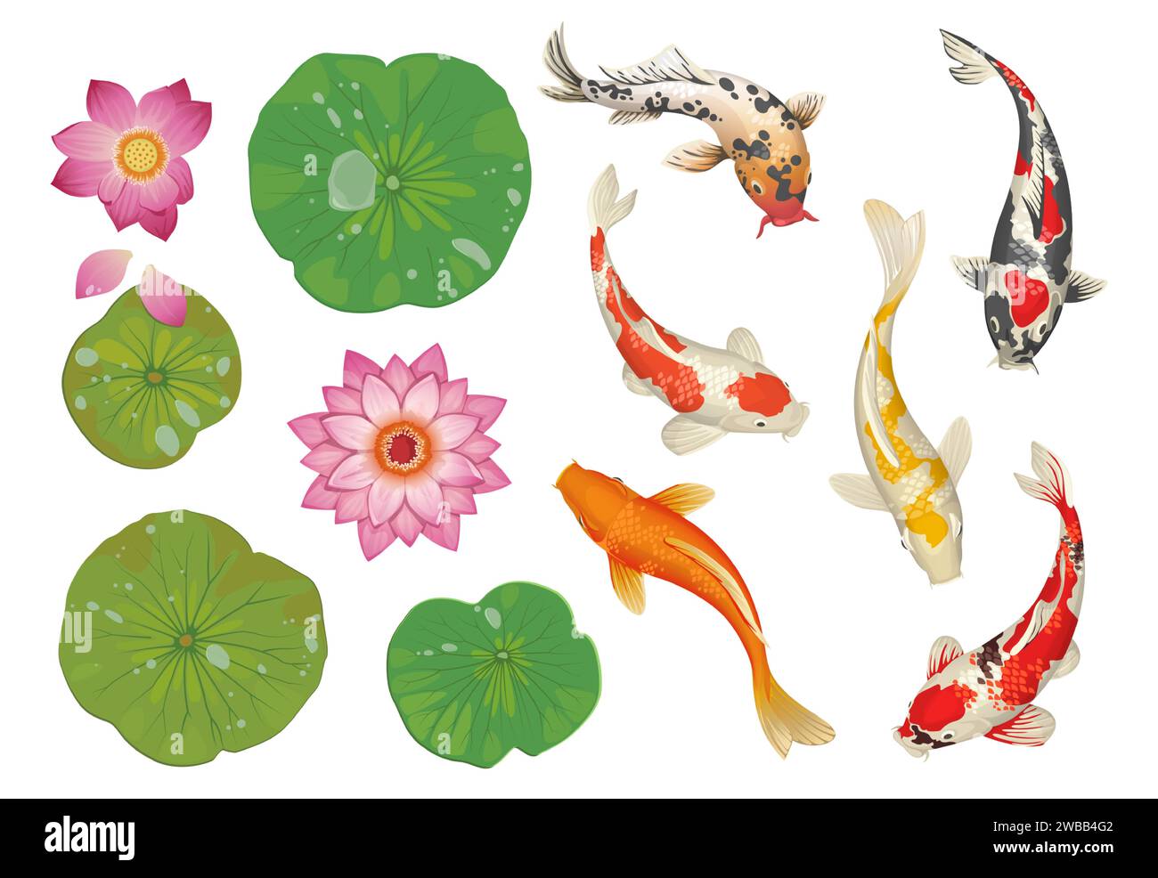 Carp pool Stock Vector Images - Alamy