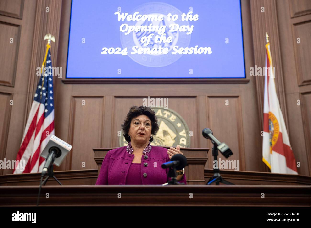 Florida Senate President Kathleen Passidomo speaks with reporters at ...