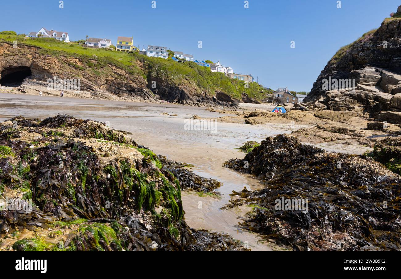 Little haven seashore hi-res stock photography and images - Alamy