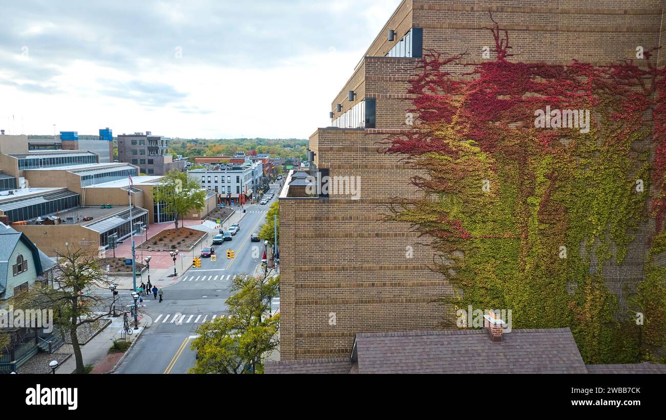 Aerial Autumn Ivy on Brick Building, Urban Street View Stock Photo - Alamy