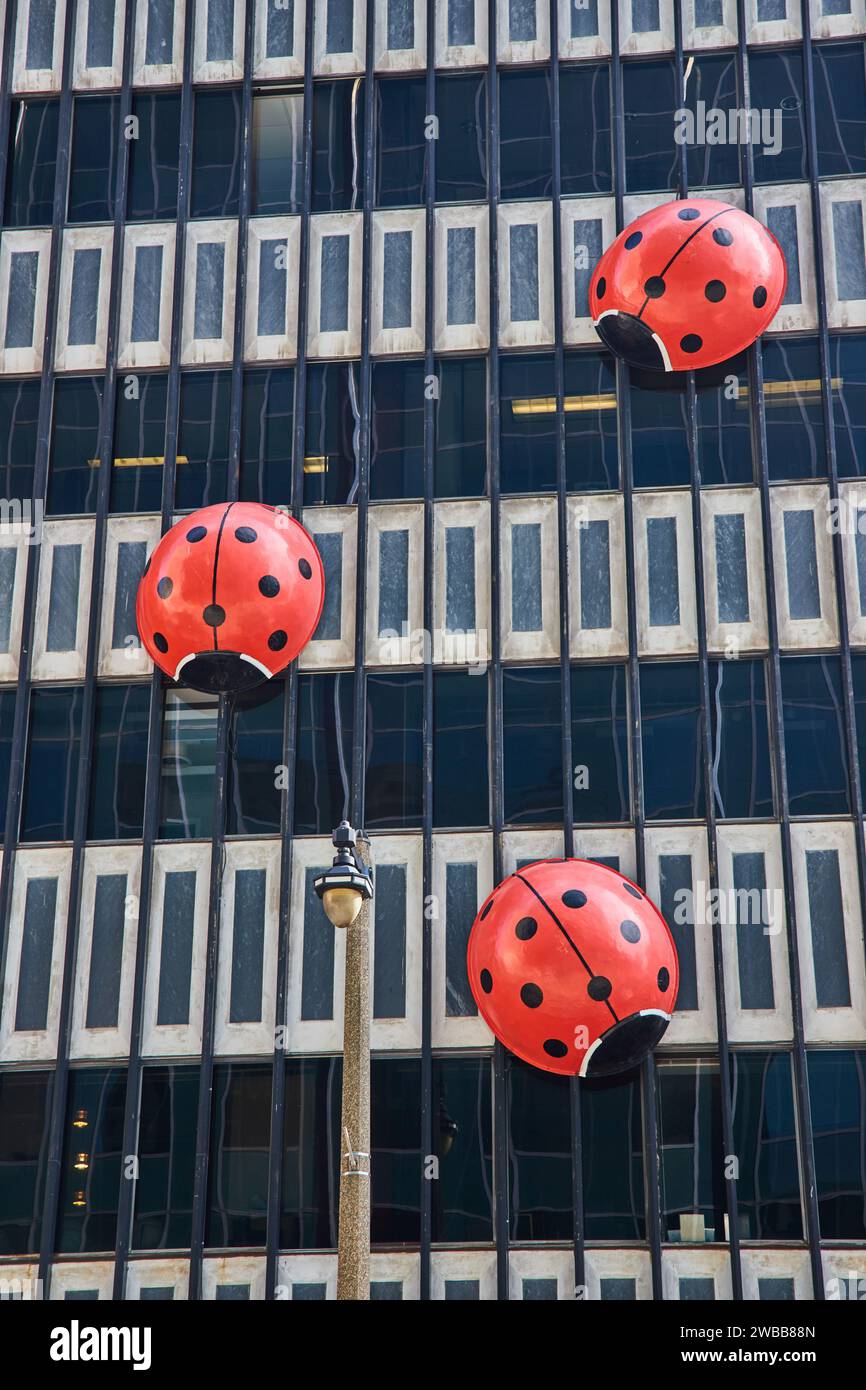 Urban Ladybug Sculptures On Modern Building Facade Street View Stock