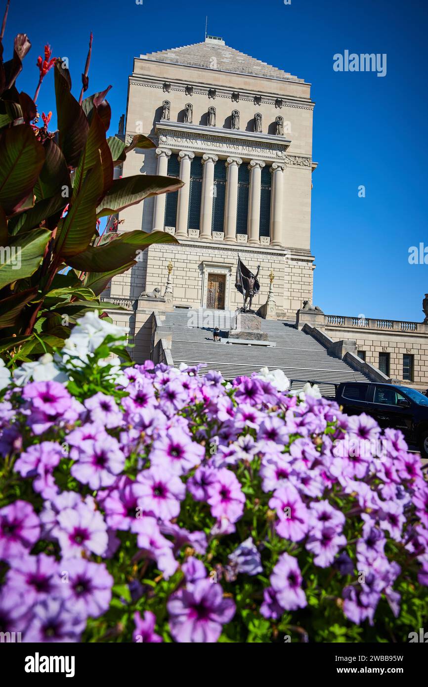 Indiana War Memorial with Purple Petunias, Sunny Day Stock Photo - Alamy