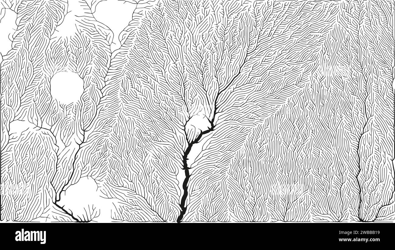 Branching growth pattern Stock Vector Images - Alamy