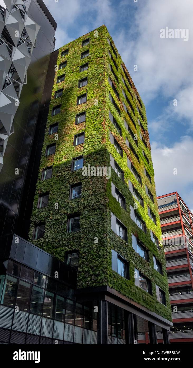 Eden green office building in Manchester / Salford is part of the New ...