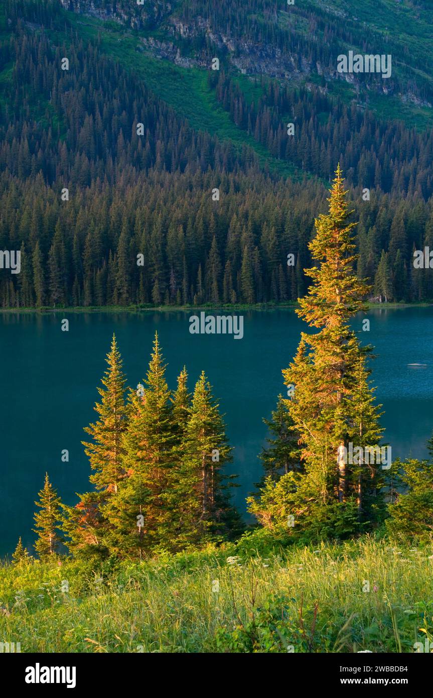 Lake Josephine, Glacier National Park, Montana Stock Photo - Alamy