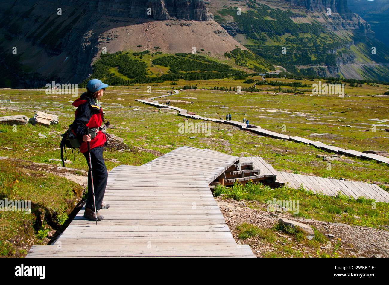 Hidden Lake Trail, Glacier National Park, Montana Stock Photo - Alamy