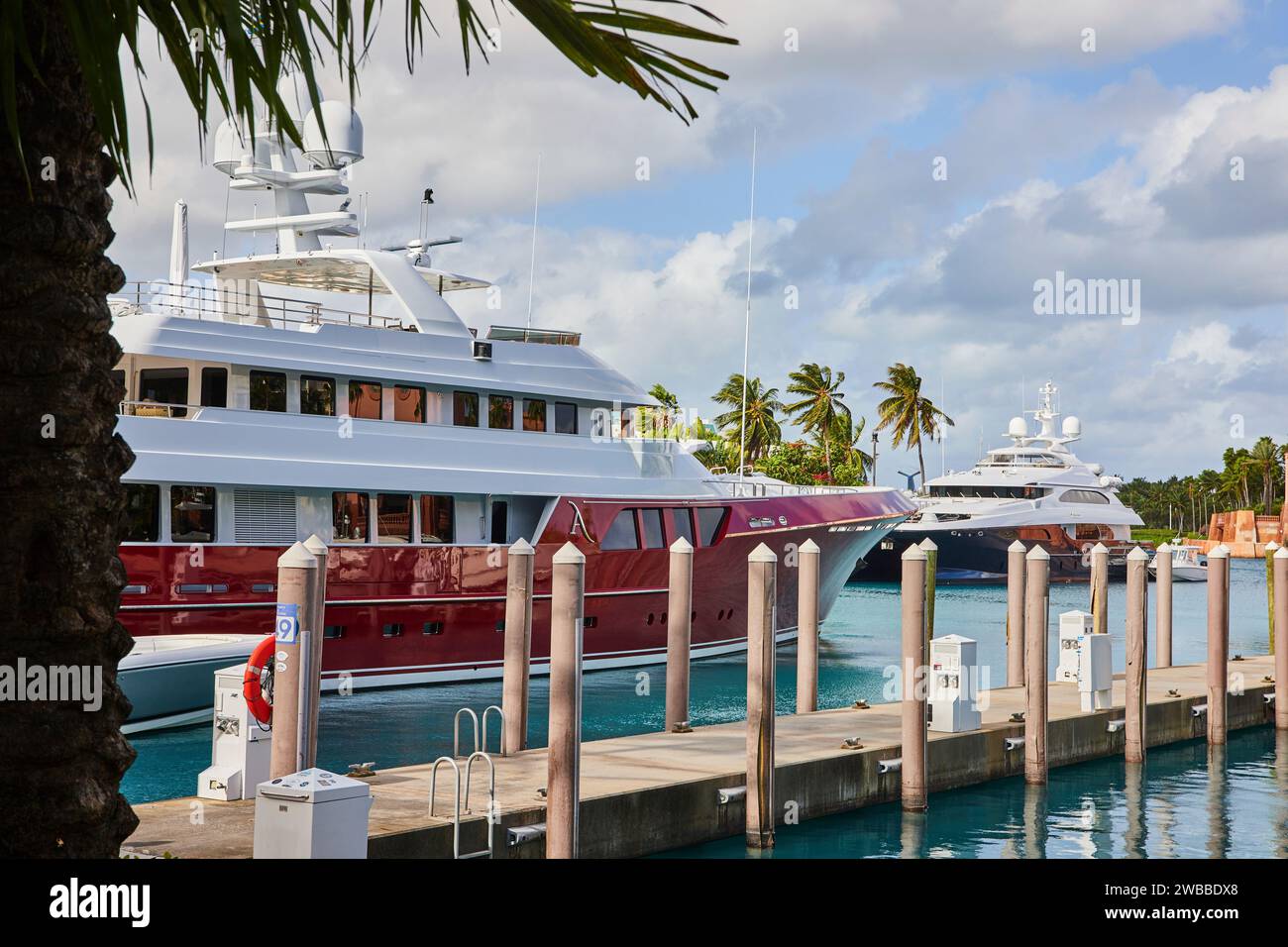 Luxury Yachts Docked at Tropical Marina with Palm Trees Stock Photo - Alamy