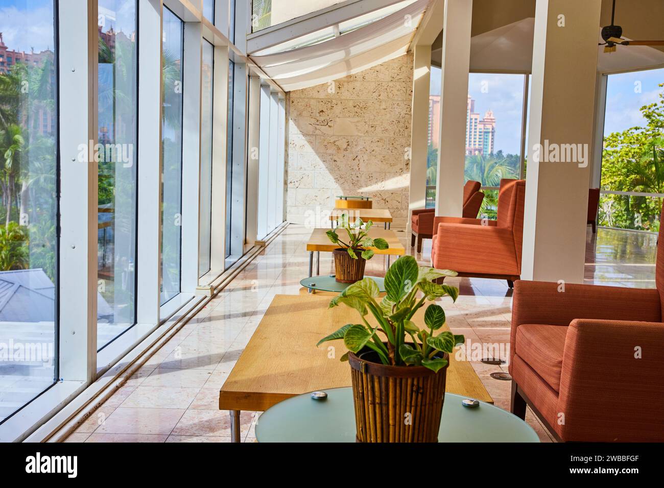 Meeting of lush greenery hi-res stock photography and images - Alamy