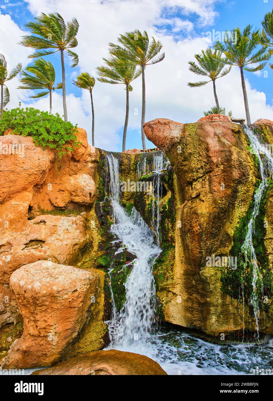 Tropical Waterfall with Palm Trees, Bahamas - Eye-Level View Stock ...