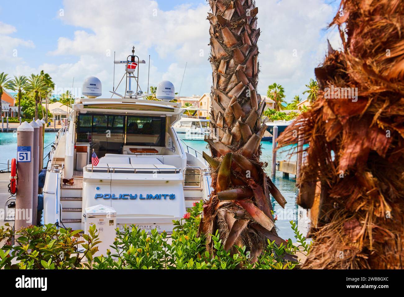 Luxury Yacht Docked at Tropical Marina with Palm Trees Stock Photo - Alamy