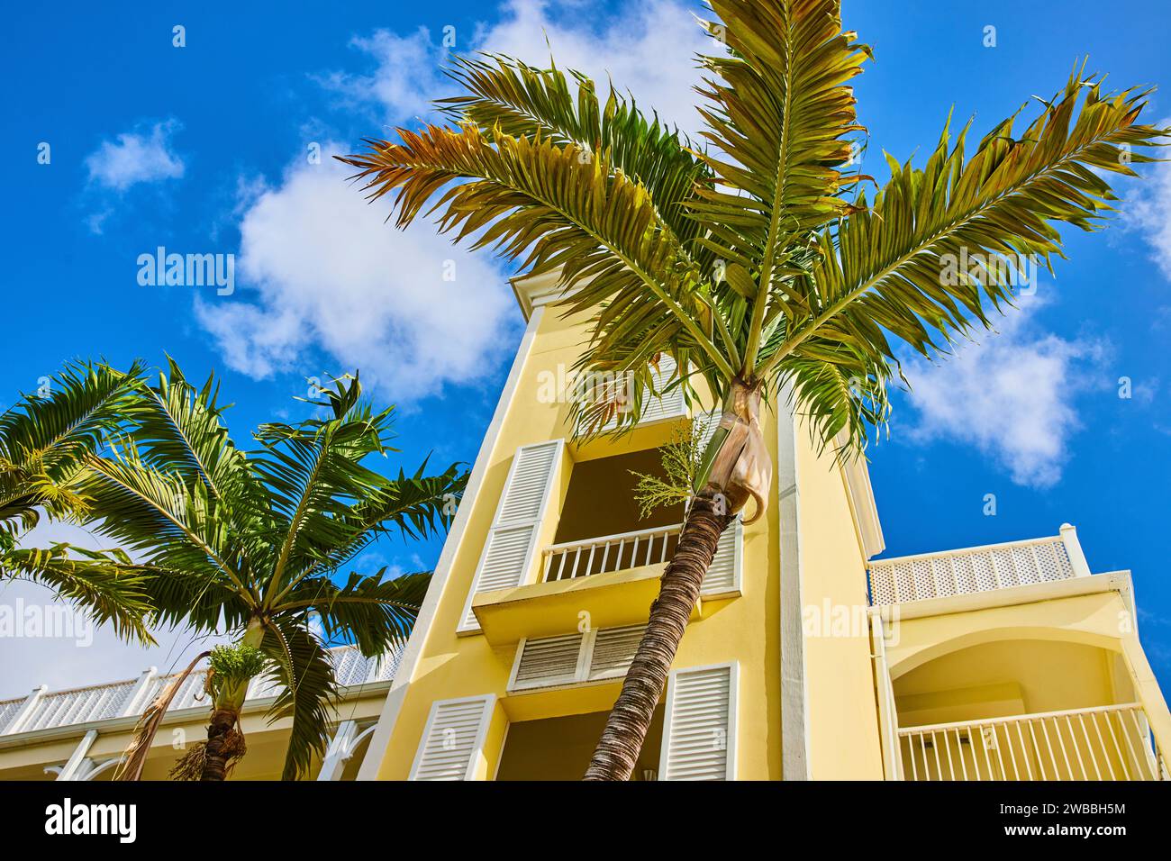 Tropical Palm and Yellow Building under Sunny Blue Sky Stock Photo - Alamy