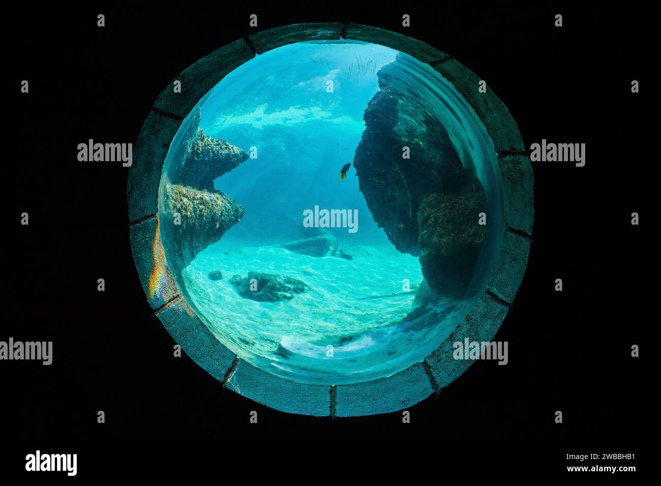 Underwater Observatory Window with Tropical Fish, Bahamas Stock Photo ...