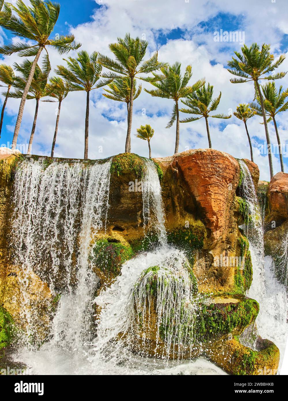 Tropical Palm Trees and Waterfall in Serene Bahamas Landscape Stock ...