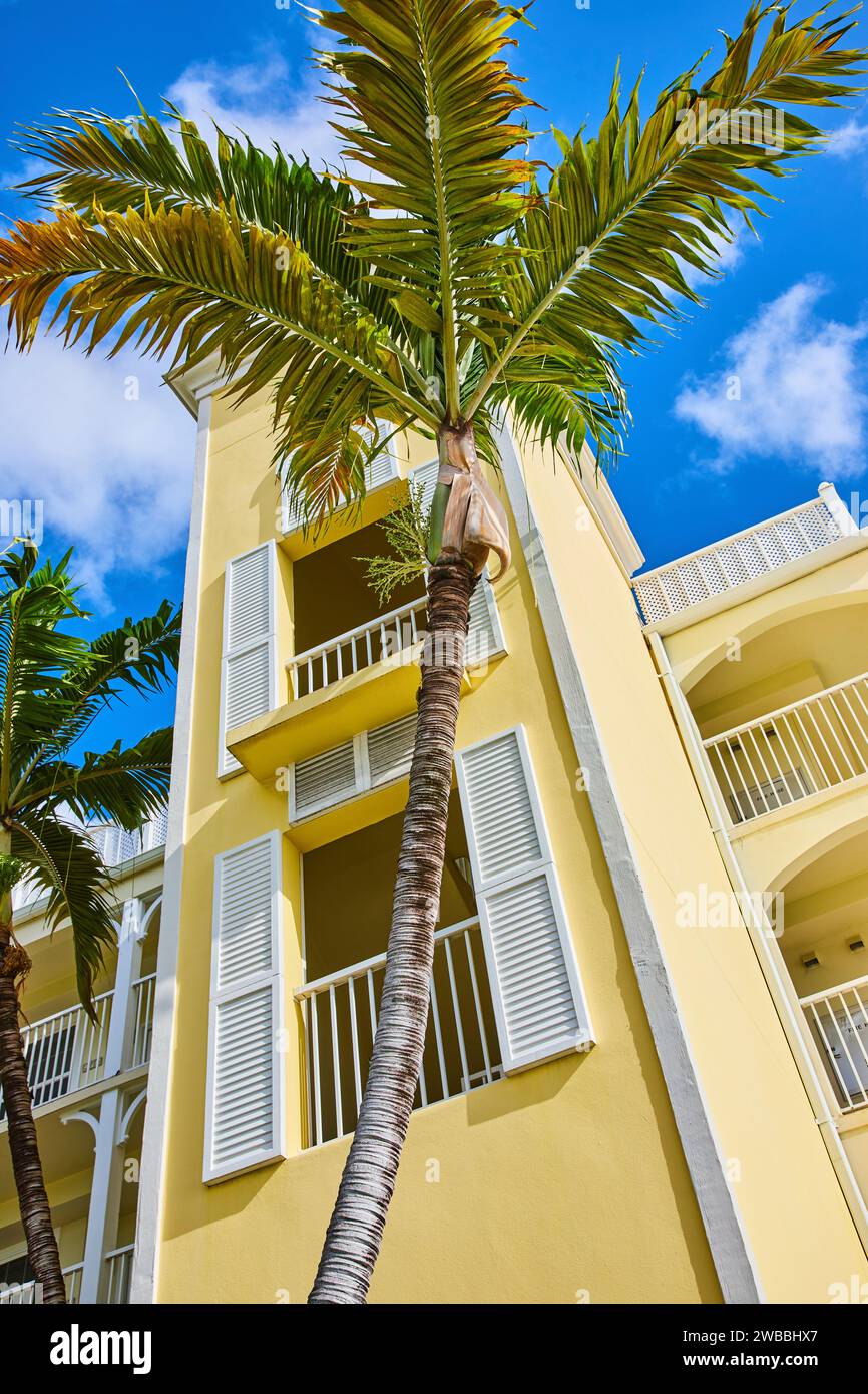 Tropical Palm Tree and Yellow Resort Building, Sunny Bahamas Stock ...