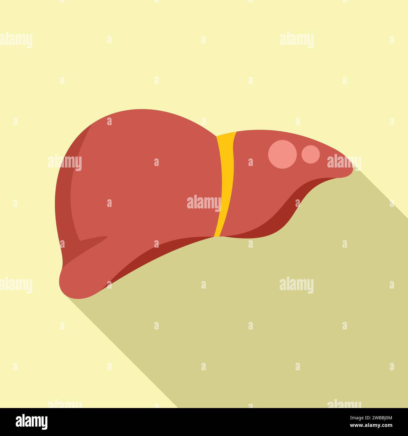 Liver transplant icon flat vector. Surgery medical science. Bioprinting ...