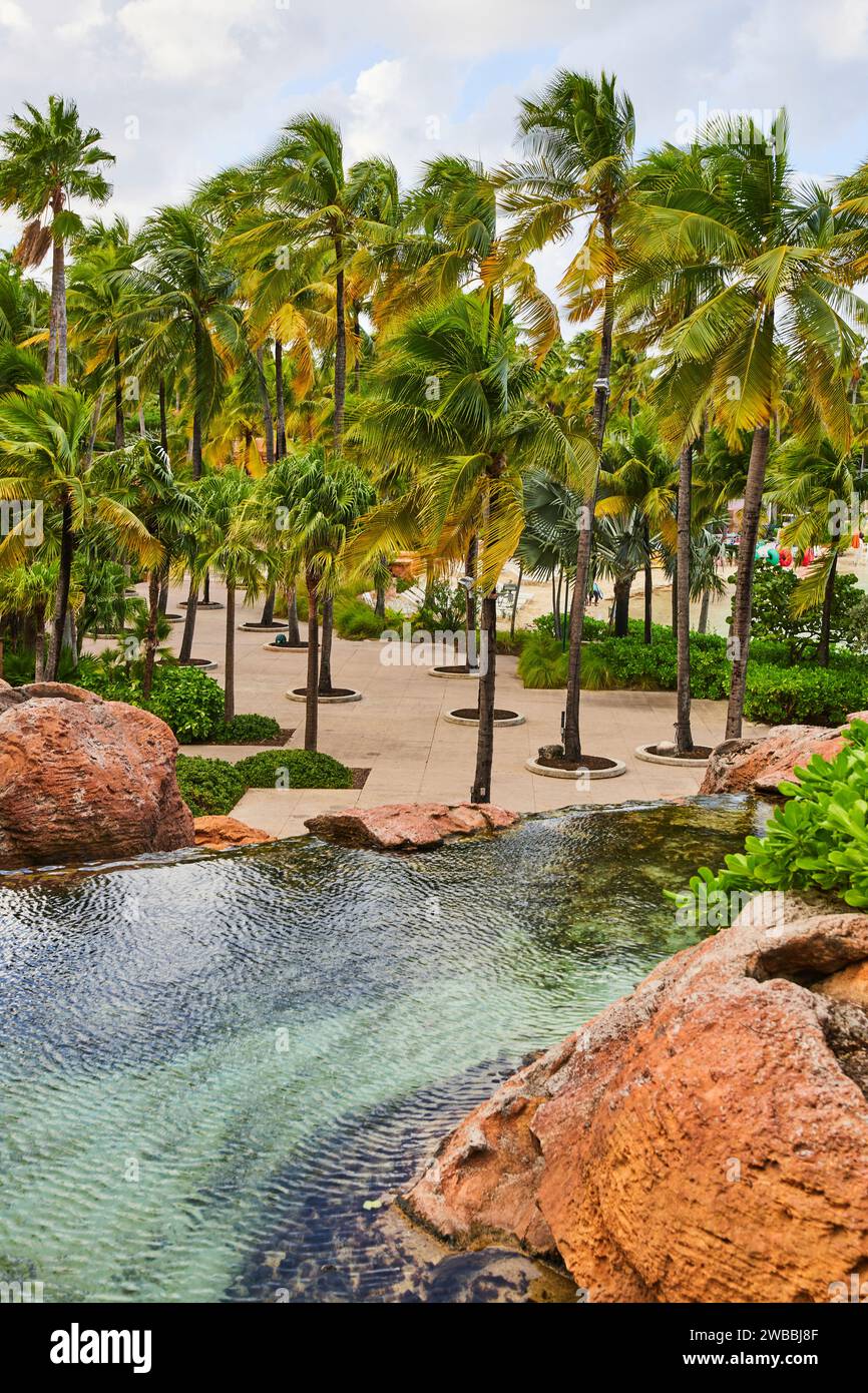 Serene Tropical Resort with Palm Trees and Water Feature, Bahamas Stock ...
