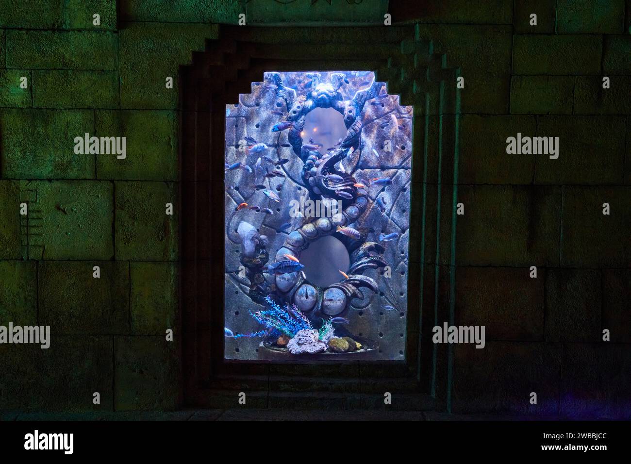 Arched Aquarium Portal with Colorful Fish and Coral in Nassau Stock ...