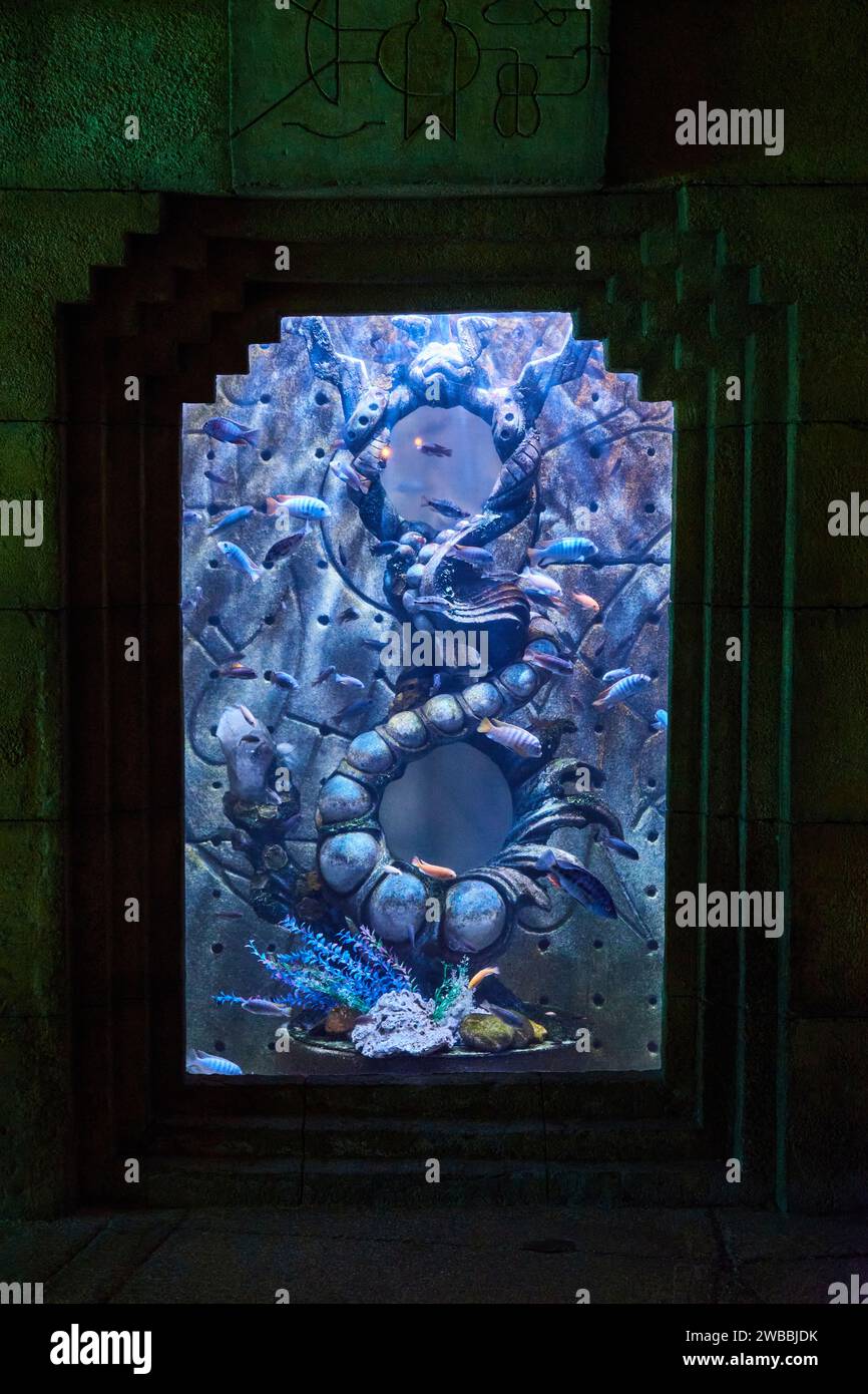 Mystical Aquarium Portal with Serpent Sculpture and Tropical Fish Stock ...