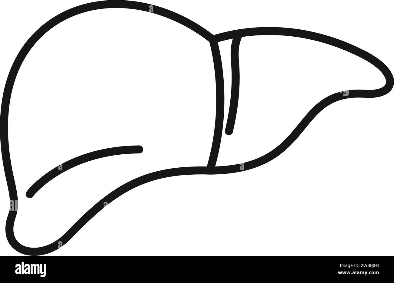 Liver transplant surgery Stock Vector Images - Alamy
