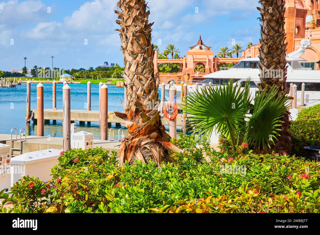 Tropical Marina Luxury with Yacht and Palm Trees, Nassau Paradise ...