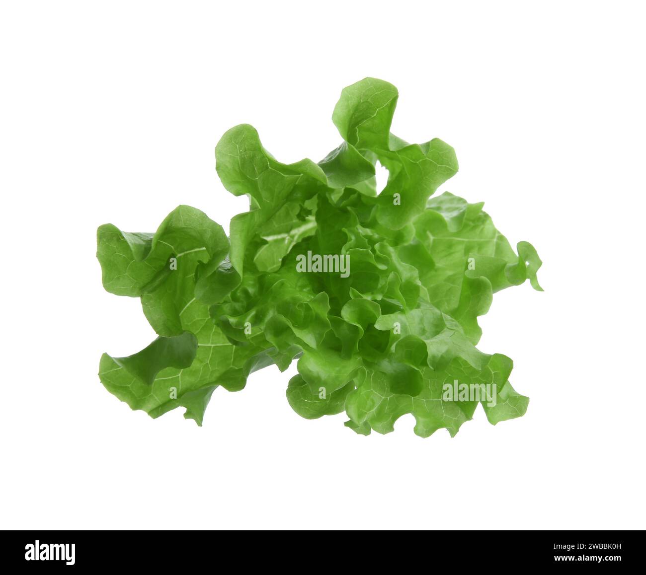 One piece of lettuce hi-res stock photography and images - Alamy