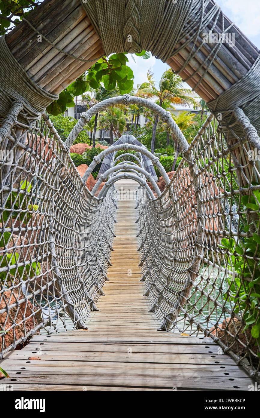 Tropical Suspension Bridge in Lush Bahamian Landscape Stock Photo - Alamy