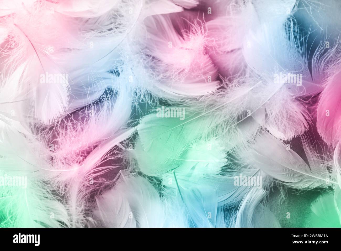 Fluffy feathers as background, top view. Color toned Stock Photo - Alamy