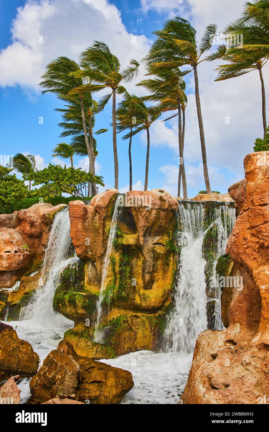 Tropical Waterfall Oasis with Palm Trees in Nassau Stock Photo - Alamy